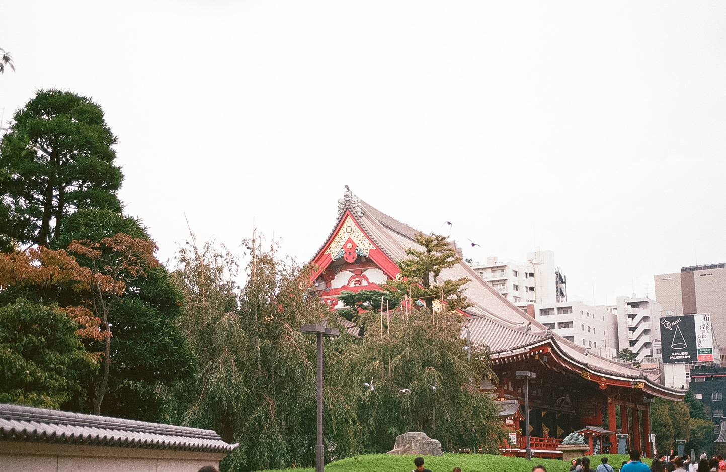 5 Things We Loved in Tokyo | Shinjuku | Japan Adventure | Deline ...