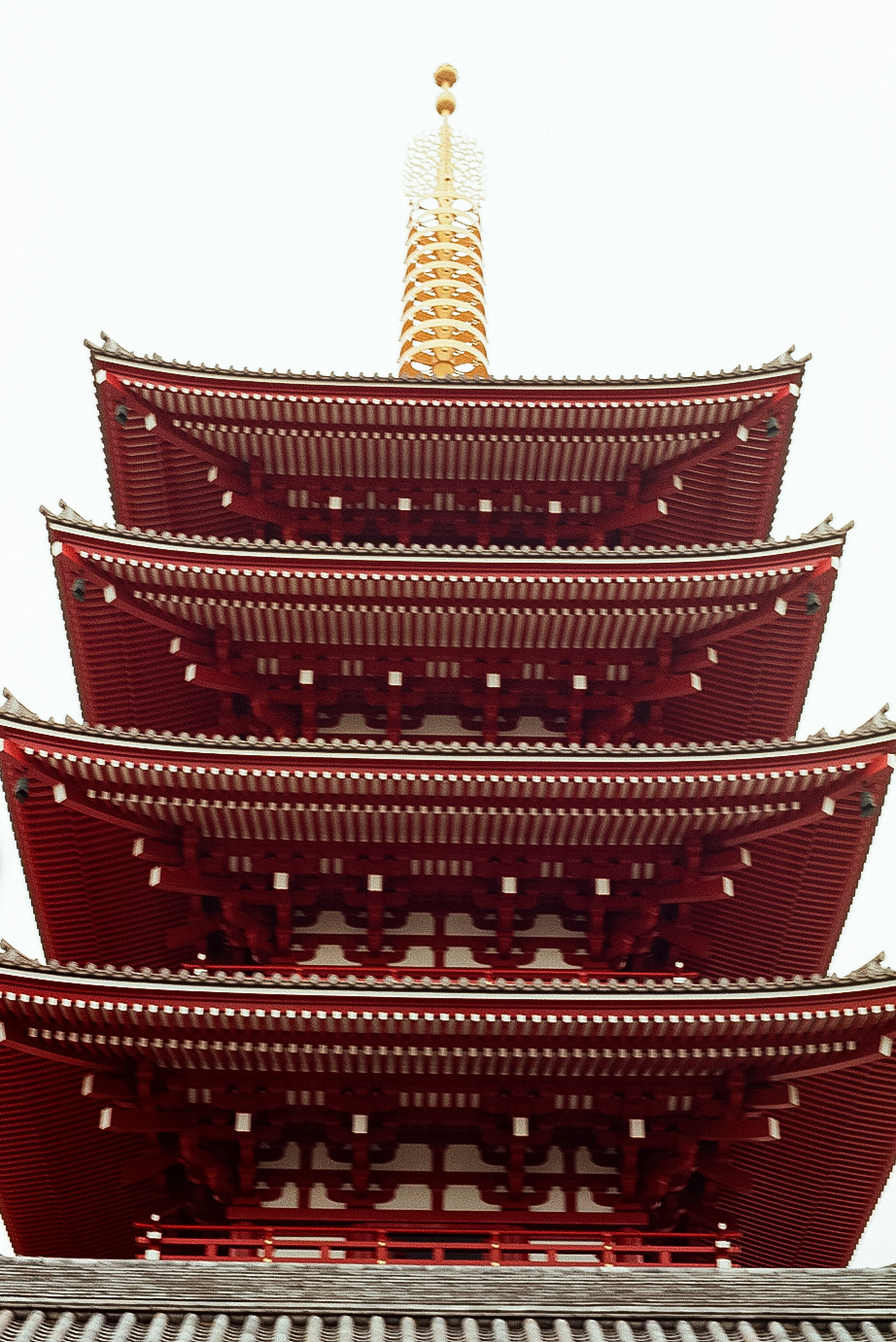 5 Things We Loved in Tokyo | Shinjuku | Japan Adventure | Deline ...
