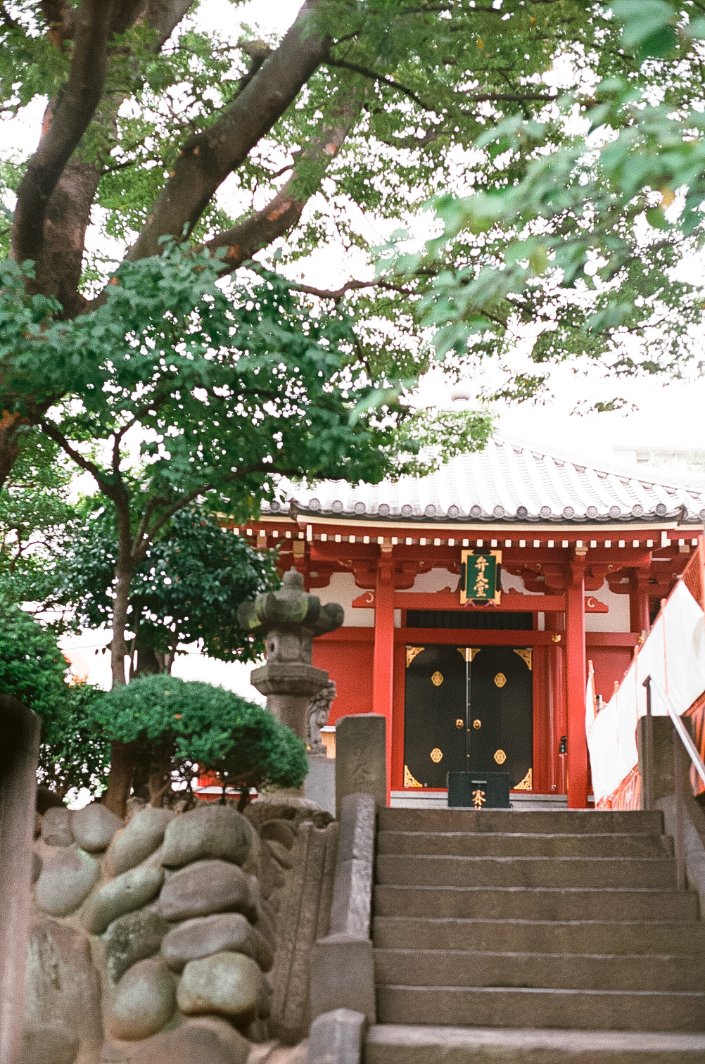 5 Things We Loved in Tokyo | Shinjuku | Japan Adventure | Deline ...