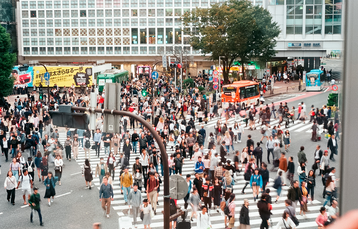 5 Things We Loved in Tokyo | Shinjuku | Japan Adventure | Deline ...