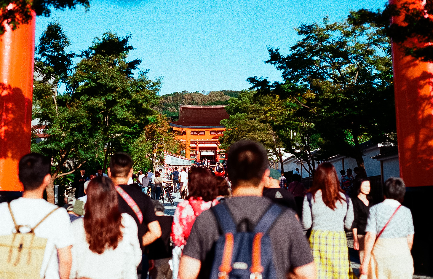 5 Things We Loved in Tokyo | Shinjuku | Japan Adventure | Deline ...