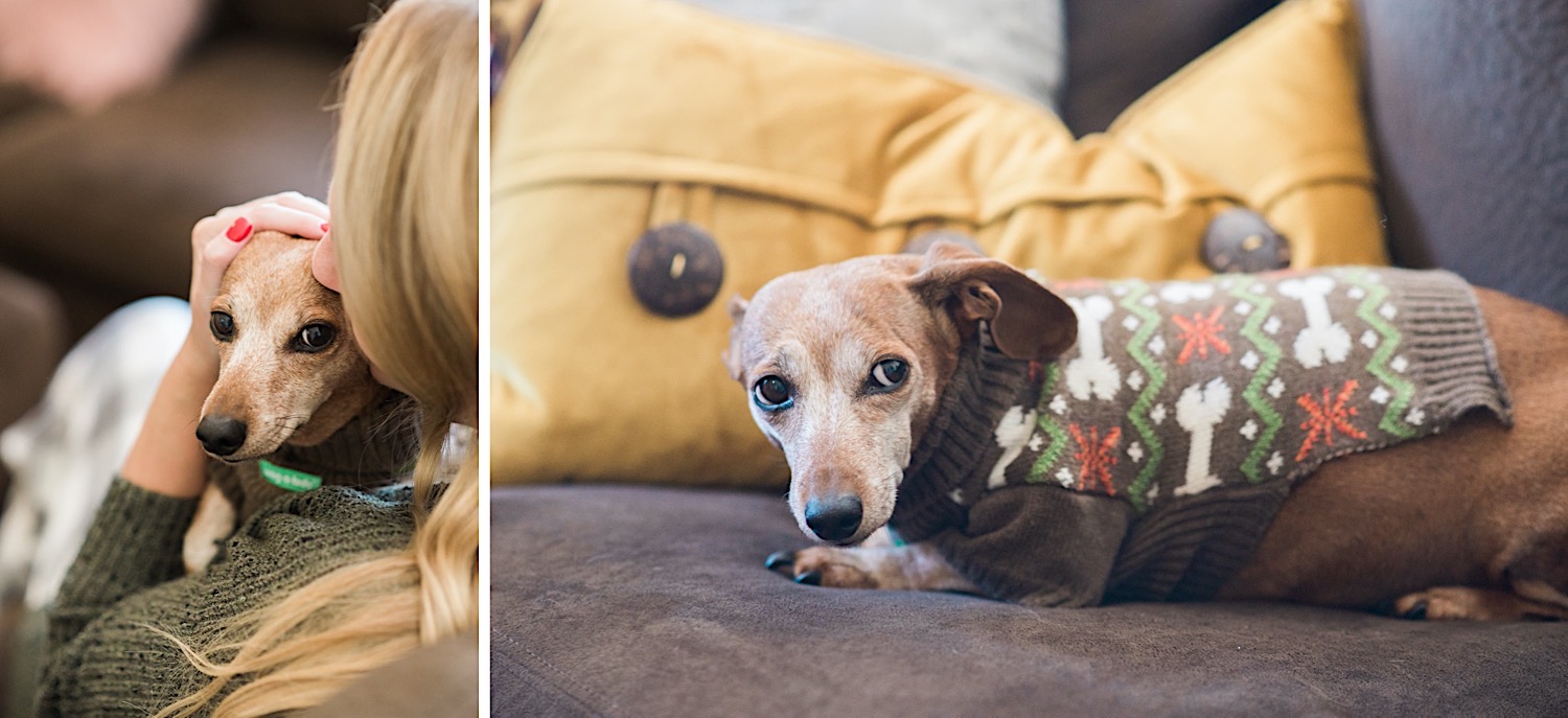 Dog Days of Christmas | Cupp Holiday Lifestyle Photos | DeLine Photography