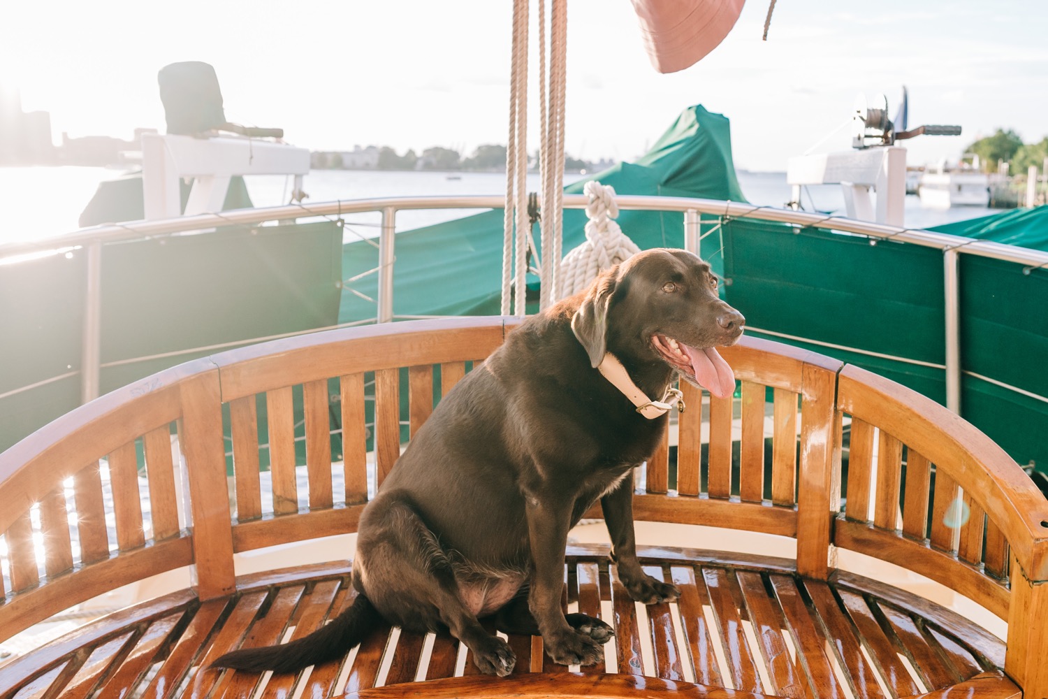 American Rover Wedding | Norfolk VA | Jon & Autumn